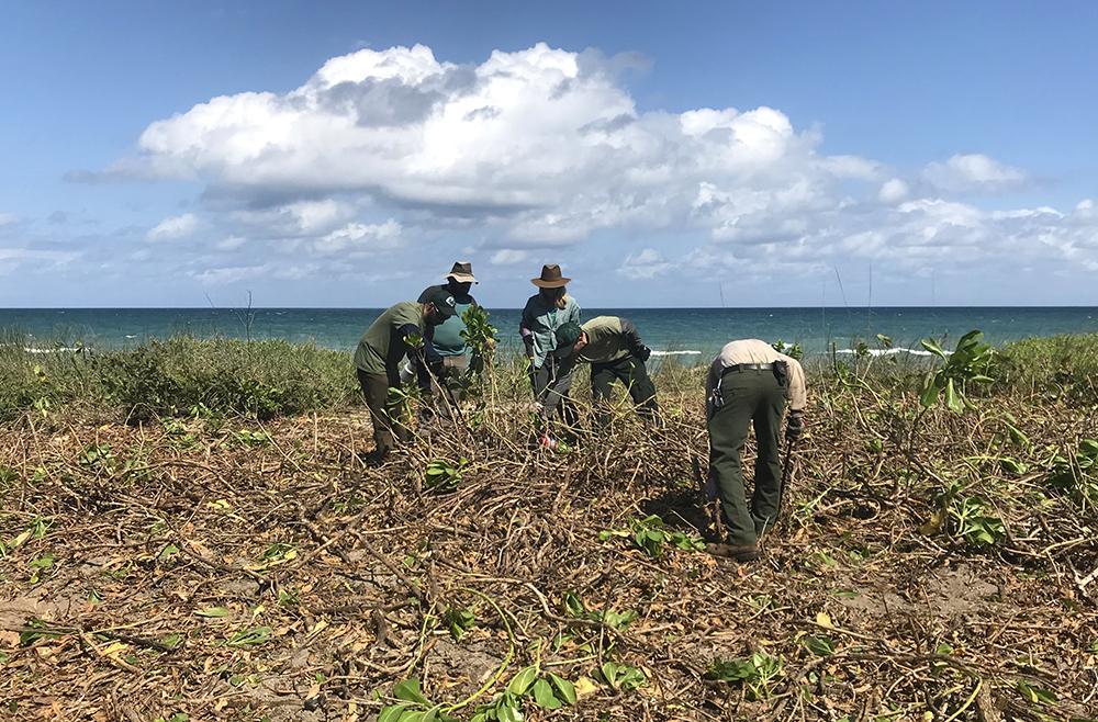 Ecosystem Restoration and Management | Martin County Florida