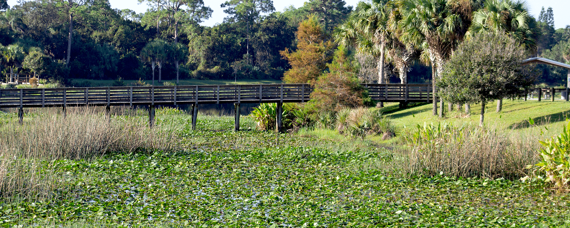 Phipps Park Campground | Martin County Florida