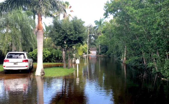 Martin County Florida | your county, your community